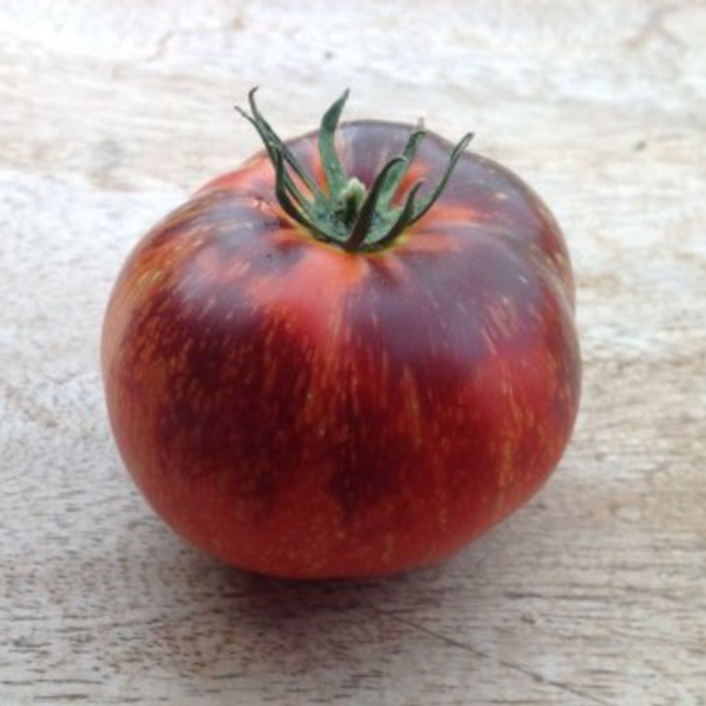 BLUE FLAME - orange-blue anthocyanin