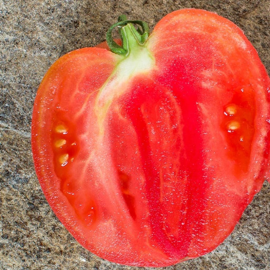 JAPANESE OXHEART TOMATO