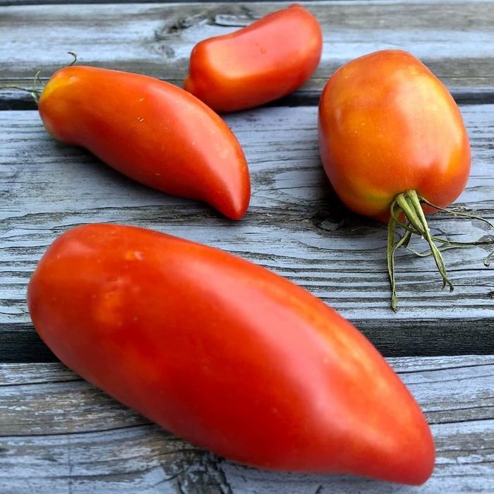 SUPER ITALIAN PASTE TOMATO
