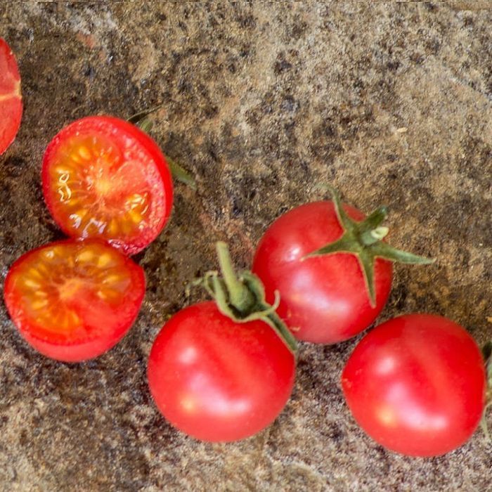 ROSE QUARTZ MULTIFLORA TOMATO