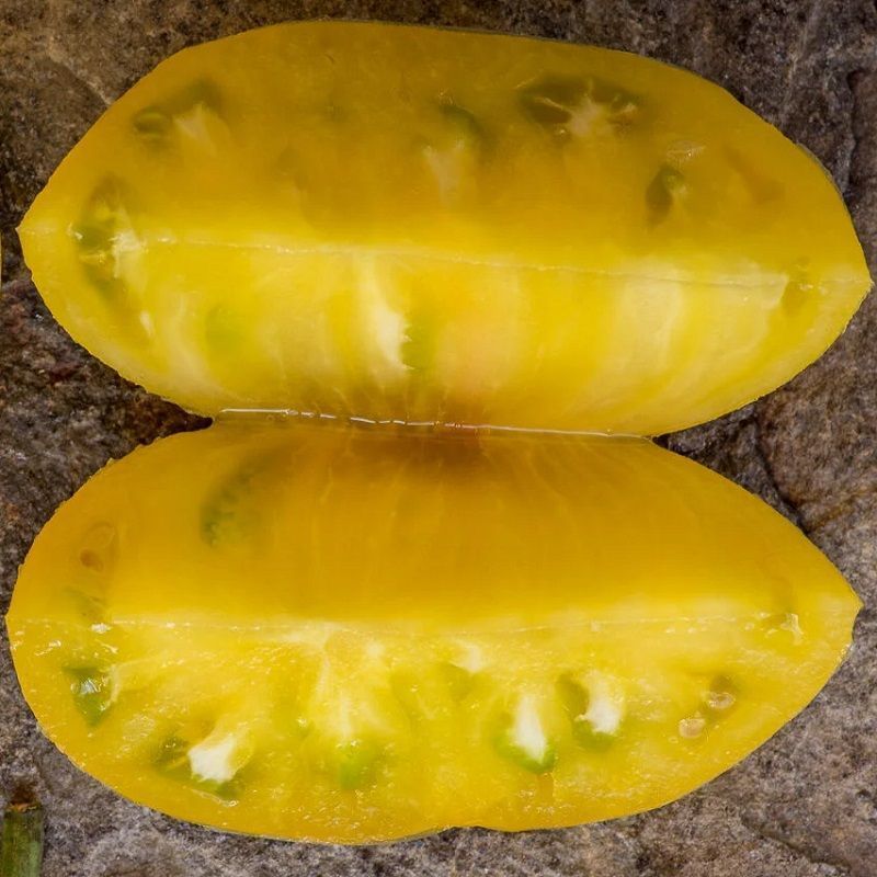 RUBY GOLD TOMATO
