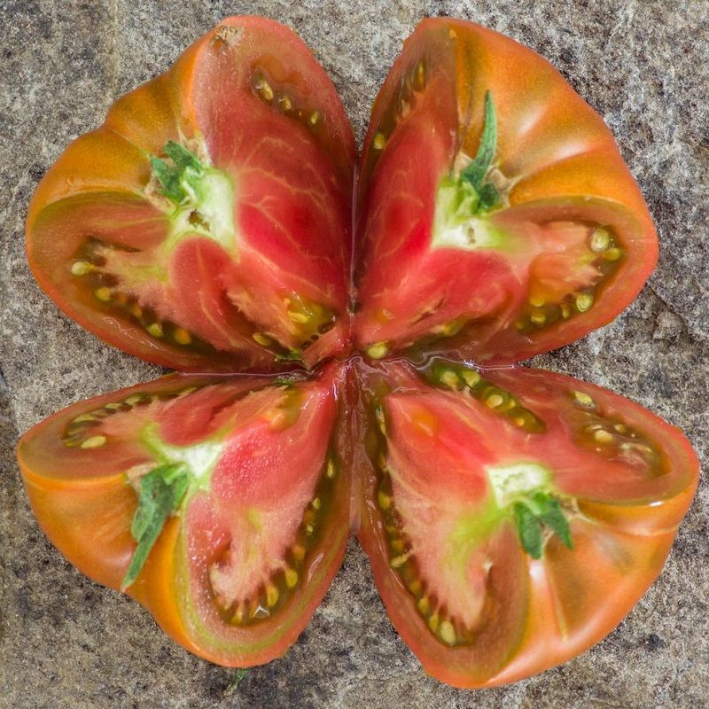 CHOCOLATE CHAMPION TOMATO